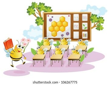 Free Beginners Bee Class - Napoleon Bee Supply