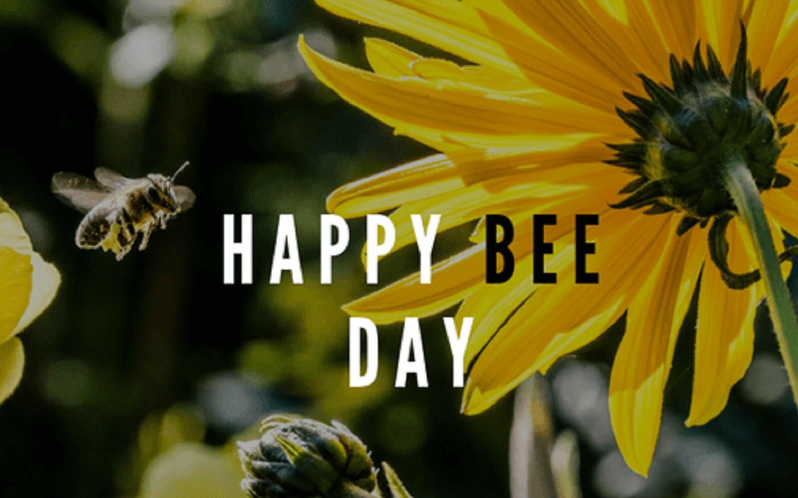 May Bee Day! - Napoleon Bee Supply
